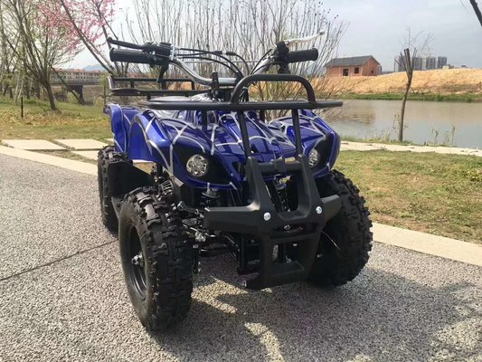 49cc mini size quad for child 2 stroke engine pull start electric start atv gasoline toy for children