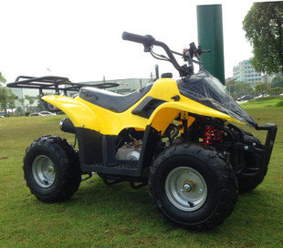 Camo Gasoline Powered Mountain Quad ATV 125cc 4 Wheel Racing Quad ATV Adult