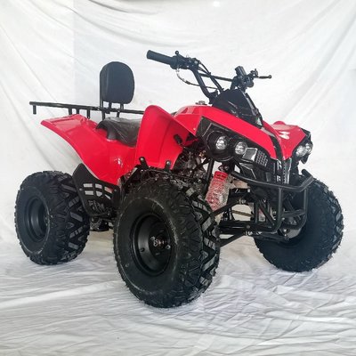 ATV 4x2 Mountain Adult All Terrain Mountain Quad Bike Agriculture Dirt Bike Jungle Buggy