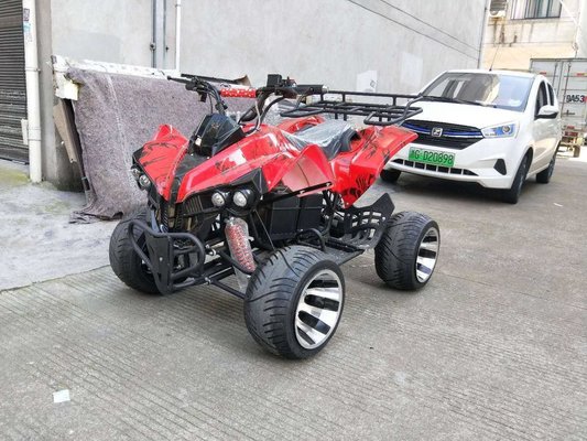 ATV 4x2 Mountain Adult All Terrain Mountain Quad Bike Agriculture Dirt Bike Jungle Buggy