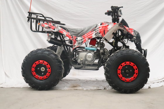 ATV 4x2 Mountain Adult All Terrain Mountain Quad Bike Agriculture Dirt Bike Jungle Buggy