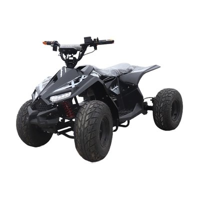 Hot Sale Shaft Drive Electric Mini Kids ATV Electric 4 Wheels Kids Electric Quad Bike