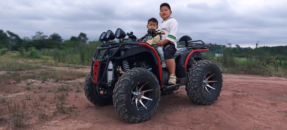 New 4 WD ATV-TY motor side by side 4 wheels ATVs 350cc automatic GY6 engine 4*4 off-road vehicle water cold engine buggy