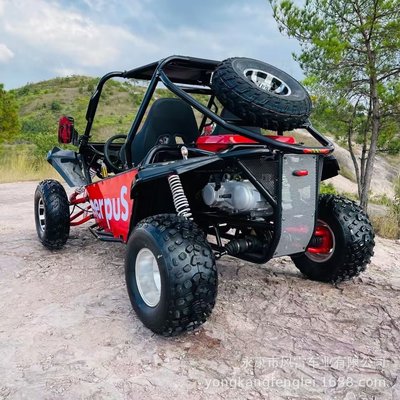 ATV-TY brand side by side quad 200cc all road use Automatic UTV 230cc go karts