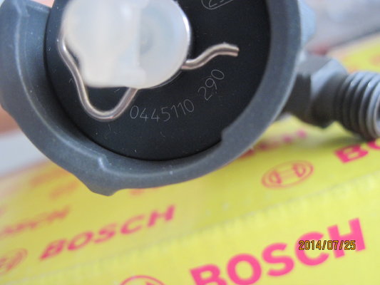 China BOSCH Original Injector 0445110290 / 0445110126 for HYUNDAI /KIA 33800-21900 / 33800-27900 supplier