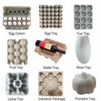 Top qualityHiPulp Egg Tray Moulding Machine / Recycling Waste Paper Egg Tray Machine /Fruit Try Machine
