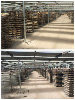 Fully automatic paper egg tray machine with brick dryer