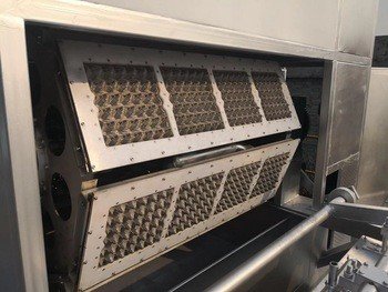 Magasin utilisé faisant la machine, 500kgs/fabricant de plateau oeufs d'heure pour le plateau d'oeufs