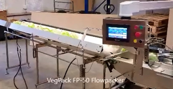 Automatic Horizontal Packaging Machine For Brocoolli / Iceberg Lettuce Vegetable To Europe Farm
