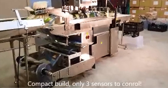 Automatic Horizontal Packaging Machine For Brocoolli / Iceberg Lettuce Vegetable To Europe Farm