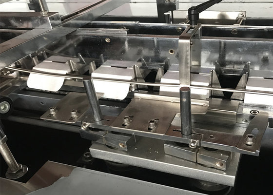 Pharmaceutical Blister Cartoning Machine Low Noise Encasing Machine