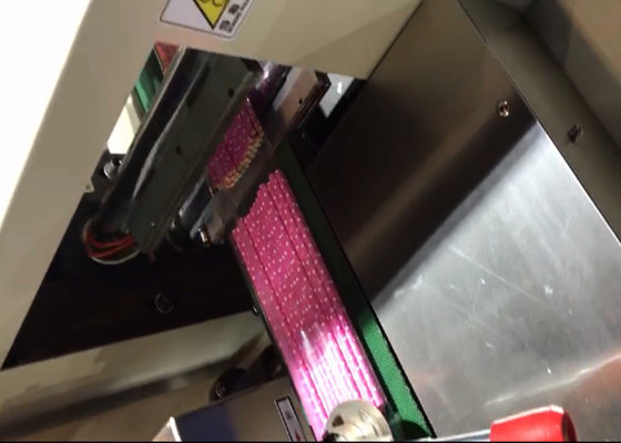 PLC Control Horizontal Flow Wrap Packing Machine Paper Straw Automatic Wrapping Machine