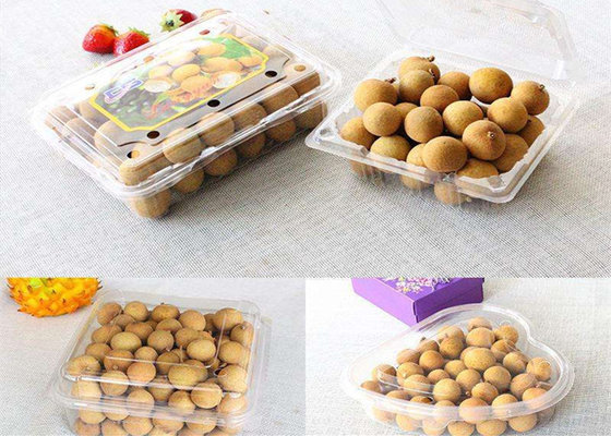 Low Noise  Clamshell Plastic Thermoforming Machine High Production Efficiency