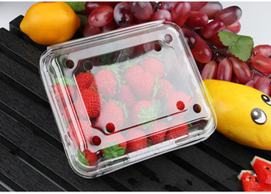 Low Noise  Clamshell Plastic Thermoforming Machine High Production Efficiency