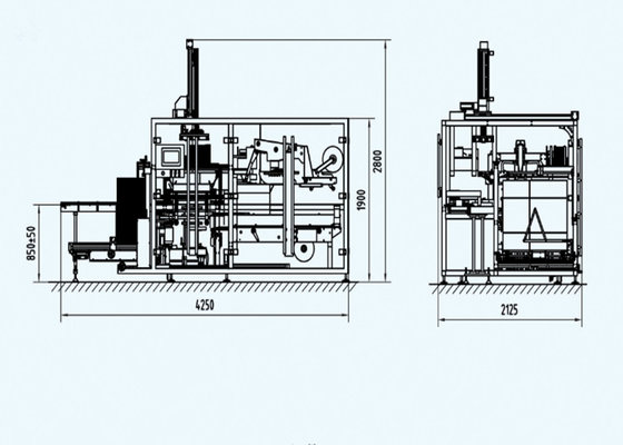 Three Phase Automatic Case Packer Stainless Steel Case Packaging Machine