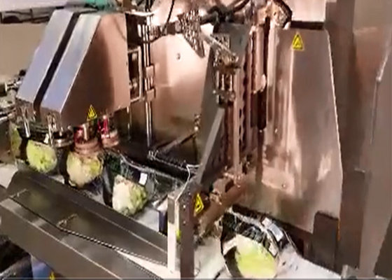Cabbage Vegetable Horizontal Flow Wrap Packing Machine With Speed Of 45 PCS / Min