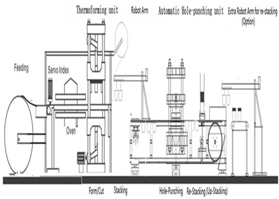Auto Small Thermoforming Machine Hole Pouching Plastic Pot Manufacturing Machines