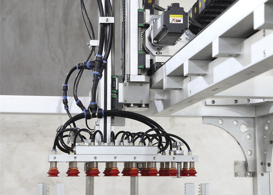 High Speed Automatic Case Packer 400 Cases / Hour With Double Robots Hands