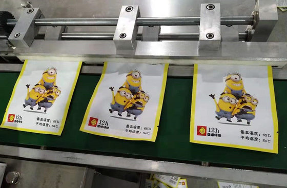 Bag Given Horizontal Form Fill Seal Machine Paste Filling And Sealing Machine