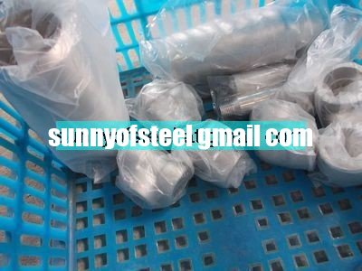 duplex A182 F904L/UNS N08904/1.4539 coupling plug bushing swage nipple insert union 