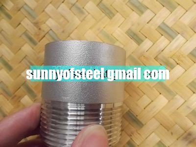310Moln/UNS S31050/1.4466 coupling plug bushing swage nipple reducing insert union 