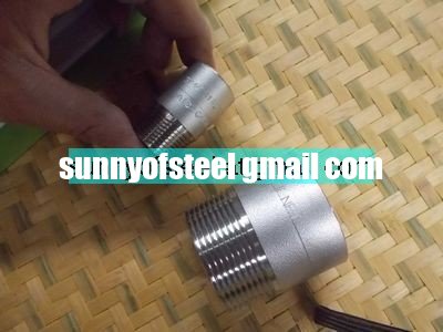 A182 F62/UNS N08367/1.4529 forged socket threaded plug nipple boss union insert