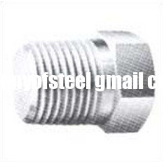 duplex stainless ASTM A182 F55 UNS S32760 1.4501 forged socket threaded plug nipple boss