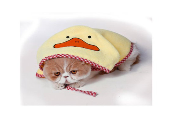 Multi Colored Cat Bath Towels , Super Absorbent Dog Towel Fashionable Design