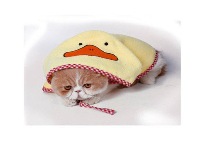 Multi Colored Cat Bath Towels , Super Absorbent Dog Towel Fashionable Design