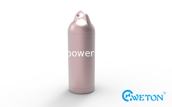 600mAh Rainproof iPhone Backup Battery Power Pack For Emergency supplier