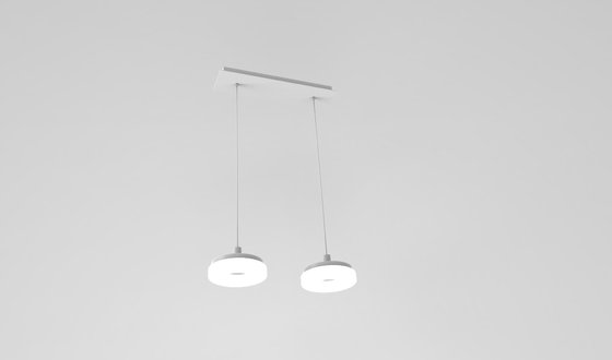 2018 Lighting Fixtures 2 lights led dinning Light Decorative Hanging Lamp