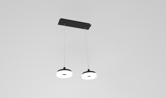 2018 Lighting Fixtures 2 lights led dinning Light Decorative Hanging Lamp