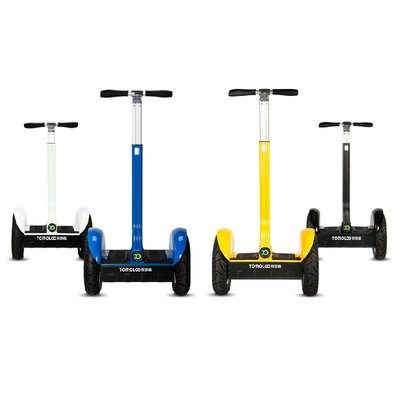 Lead Acid Battery 2 Wheel Personal Transporter Scooter Self Balancing Electric Scooter For Outdoor Sports supplier