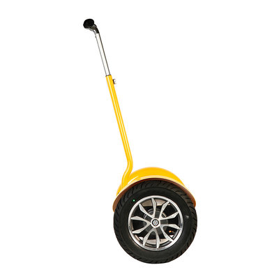 Lead Acid Battery 2 Wheel Personal Transporter Scooter Self Balancing Electric Scooter For Outdoor Sports supplier