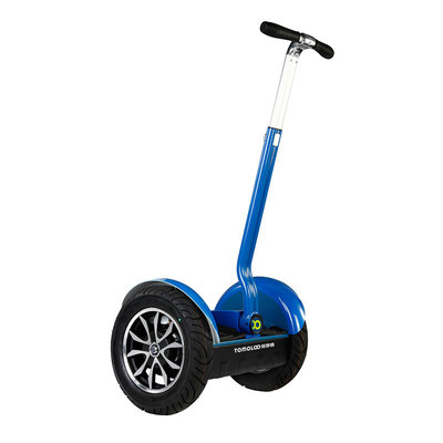 Lead Acid Battery 2 Wheel Personal Transporter Scooter Self Balancing Electric Scooter For Outdoor Sports supplier