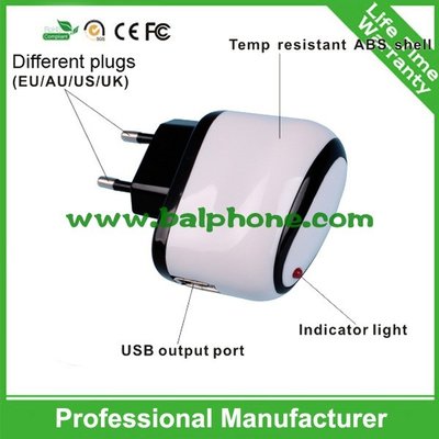 Cheapest Price Travel Adapter 2 Amp USB Wall Charger with Cable