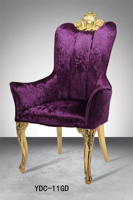 New style dining chair (YDC-09ST)