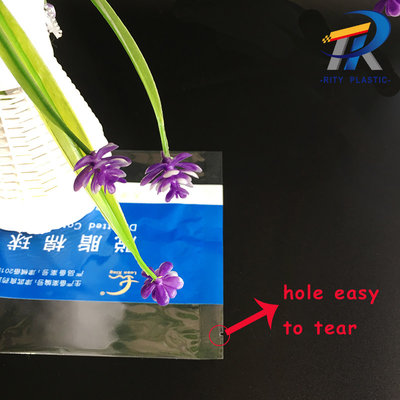 BOPP/CPP medical packaging bag 60mic Transparent plastic bag for medical products supplier