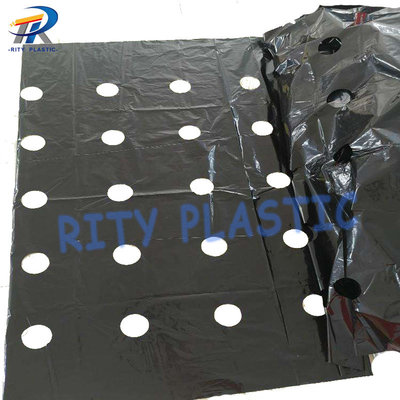 Black LDPE Agricultural Films Greenhouse Mulch Film With hole supplier