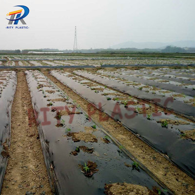 100% pure virgin LDPE Black Weeding and good thermal insulation Mulch Film supplier