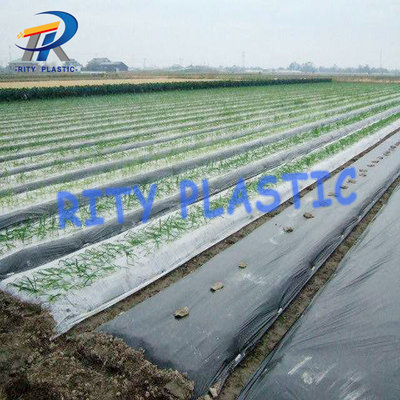 100% pure virgin LDPE Black Weeding and good thermal insulation Mulch Film supplier