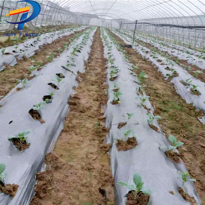 Agricultural Plastic Film Black&Silver Mulch Film PE Silver Shine Plastic Mulch Films supplier