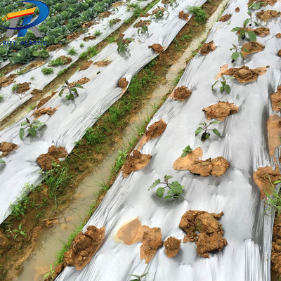 Silver/Black Weed Control Agricultural Plastic Mulch Film pure virgin PE reflective much film supplier