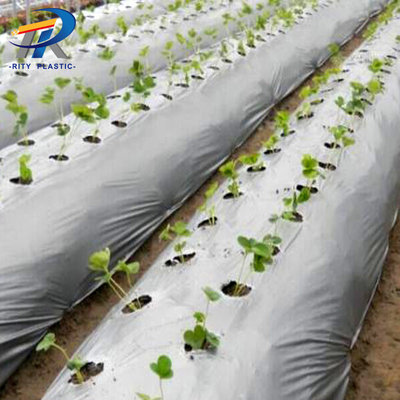 PE Agricultural Ground Covering mulch film Silver/Black 2 sides weeding Plastic reflective Mulch Film supplier
