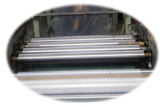 Perforated Plastic Mulch Film Use For crops white ground covering much film supplier