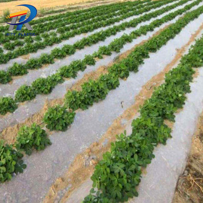 Perforated Plastic Mulch Film Use For crops white ground covering much film supplier