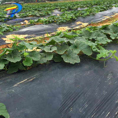 Plastic weeding Mulch Film Agricultural Black Plastic Ground Cover PE blowing film supplier