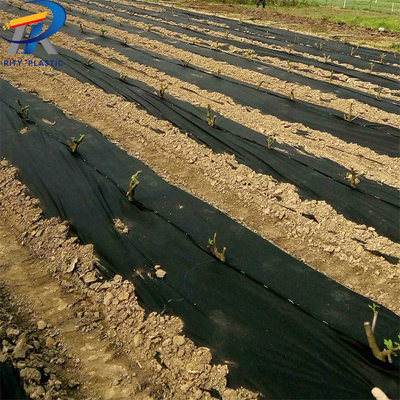 Plastic weeding Mulch Film Agricultural Black Plastic Ground Cover PE blowing film supplier