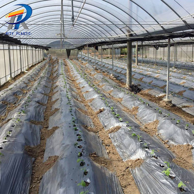 PE Black/grey plastic film mulch film mulch jumbo rolling agricultural blowing film supplier