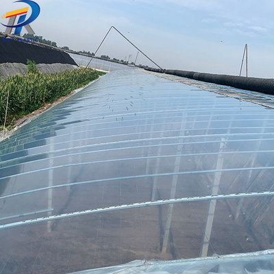 Big Size 8-20m LDPE Material PO Plastic Agricultural Greenhouse Film supplier